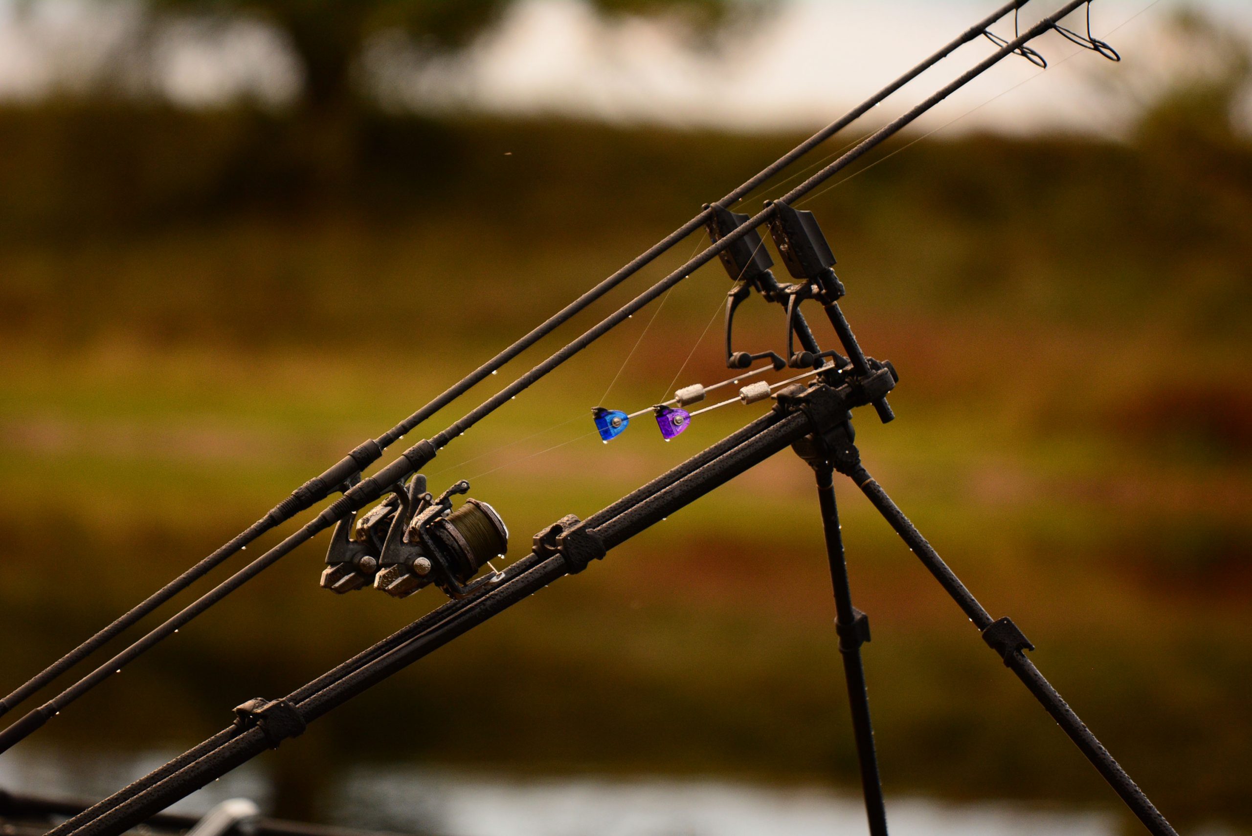 Ruten-Übersicht – SPORTEX Magazin :: Der Maßstab im Rutenbau